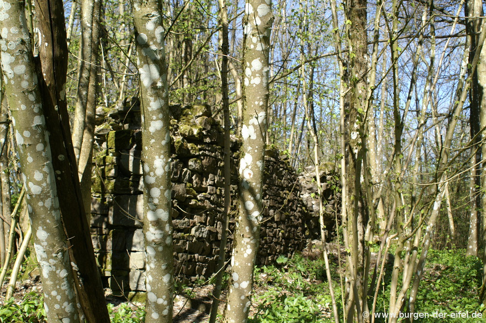 Burg Aremberg | Burgen der Eifel